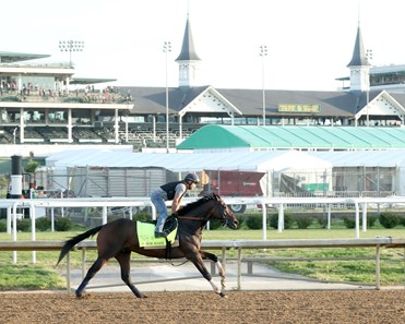 Honor Marie - Horse Profile - BloodHorse