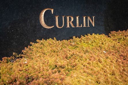 Curlin - Horse Profile - BloodHorse