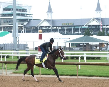 Fierceness - Horse Profile - BloodHorse
