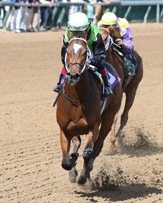 Clearly Unhinged - Horse Profile - BloodHorse