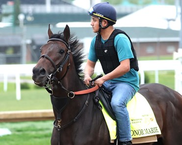 Honor Marie - Horse Profile - BloodHorse