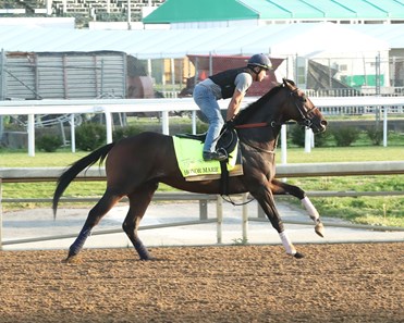 Honor Marie - Horse Profile - BloodHorse