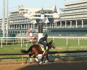Fierceness - Horse Profile - BloodHorse