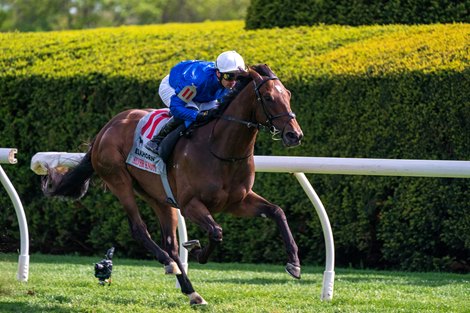 Silver Knott Takes Gold in Winning Elkhorn - BloodHorse