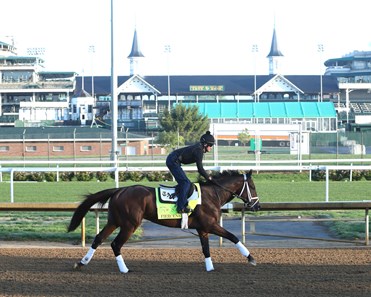 Fierceness - Horse Profile - BloodHorse