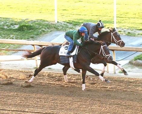 Endlessly Works; 'All Options Open,' Including KY Derby - BloodHorse