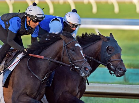 Sierra Leone 'Super' in Penultimate Derby Work - BloodHorse