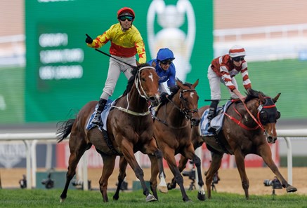 California Spangle (IRE) - Horse Profile - BloodHorse