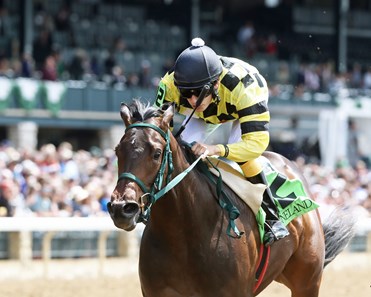 The Queens M G - Horse Profile - BloodHorse