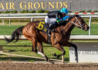 Doncho - Horse Profile - BloodHorse