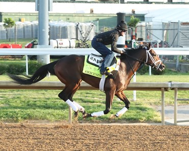 Fierceness - Horse Profile - BloodHorse