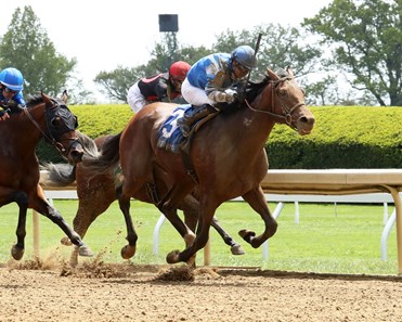 Mo Rhodes - Horse Profile - BloodHorse