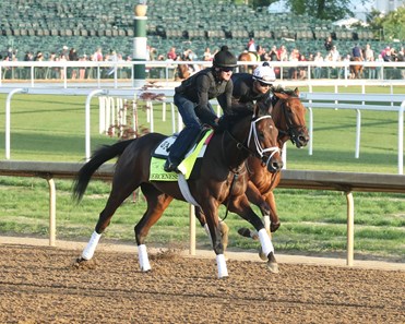 Fierceness - Horse Profile - BloodHorse