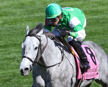 Roses for Debra - Horse Profile - BloodHorse