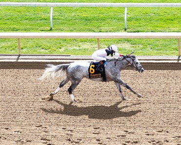 Bo Cruz - Horse Profile - BloodHorse
