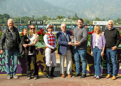 Mr Fisk - Horse Profile - BloodHorse