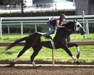 Just Steel - Horse Profile - BloodHorse