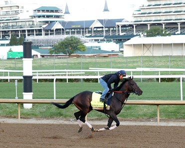 Honor Marie - Horse Profile - BloodHorse