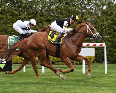 Good Lord Lorrie - Horse Profile - BloodHorse