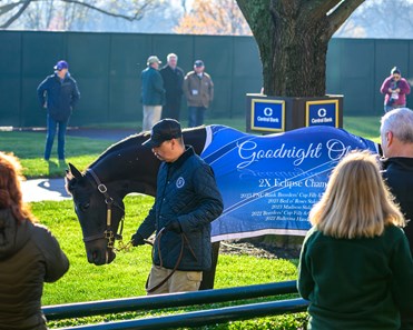 Goodnight Olive - Horse Profile - BloodHorse