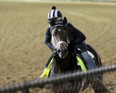 Endlessly - Horse Profile - BloodHorse