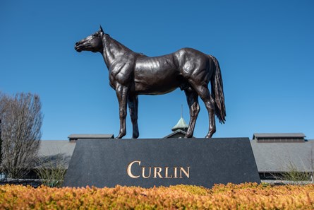 Curlin - Horse Profile - BloodHorse