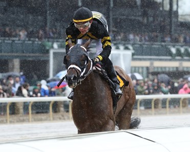 Sharp Shot - Horse Profile - BloodHorse