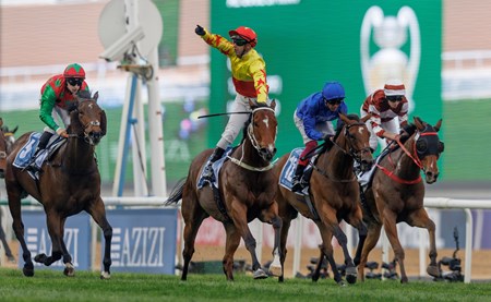 California Spangle (IRE) - Horse Profile - BloodHorse