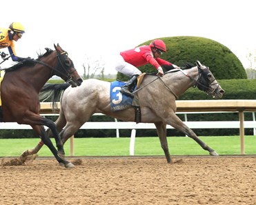 Legadema - Horse Profile - BloodHorse