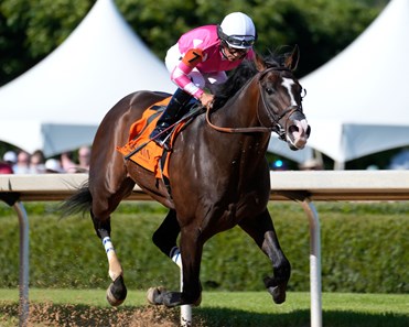 Alexander Helios - Horse Profile - BloodHorse