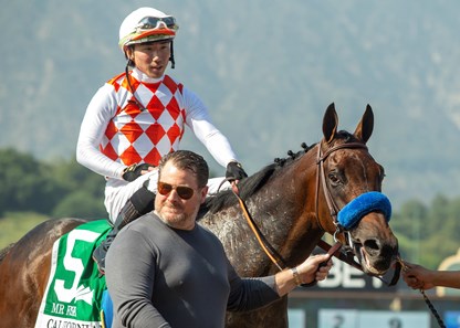 Mr Fisk - Horse Profile - BloodHorse