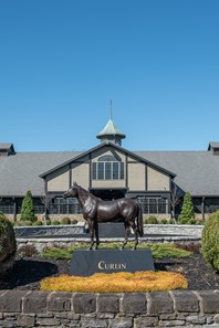Curlin - Horse Profile - BloodHorse