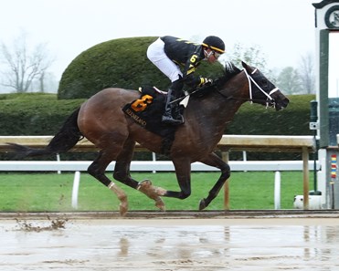 Sharp Shot - Horse Profile - BloodHorse