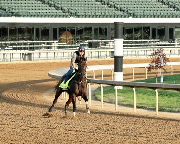 Honor Marie - Horse Profile - BloodHorse