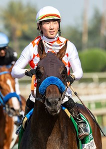 Mr Fisk - Horse Profile - BloodHorse