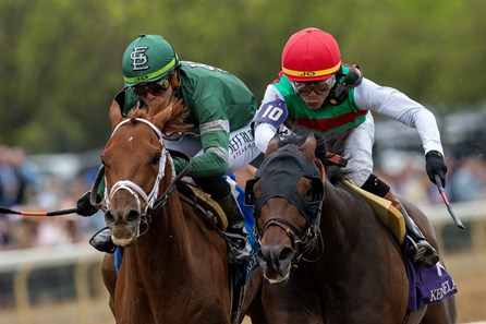 Cagliostro - Horse Profile - BloodHorse