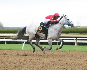 Glengarry - Horse Profile - BloodHorse
