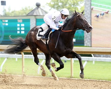 Mullikin - Horse Profile - BloodHorse