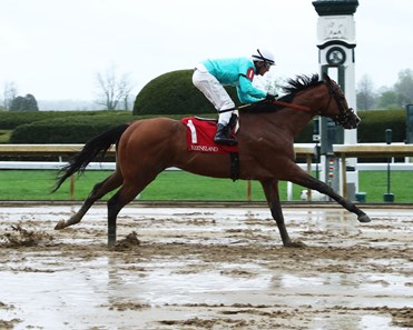 Pyrenees - Horse Profile - BloodHorse