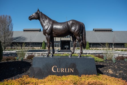 Curlin - Horse Profile - BloodHorse