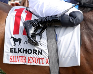 Silver Knott (GB) - Horse Profile - BloodHorse