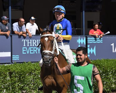 Lady Cha Cha - Horse Profile - BloodHorse