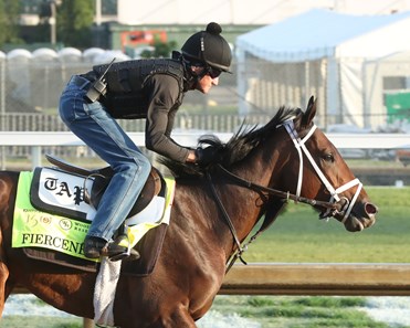 Fierceness - Horse Profile - BloodHorse