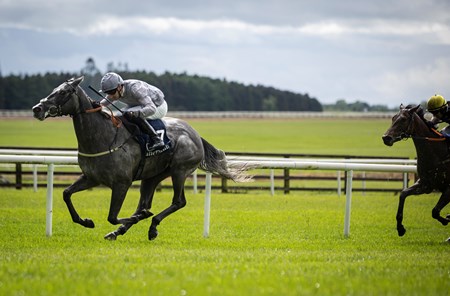 Fallen Angel (GB) - Horse Profile - BloodHorse