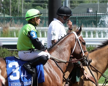 Clearly Unhinged - Horse Profile - BloodHorse
