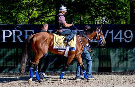 Mystik Dan - Horse Profile - BloodHorse