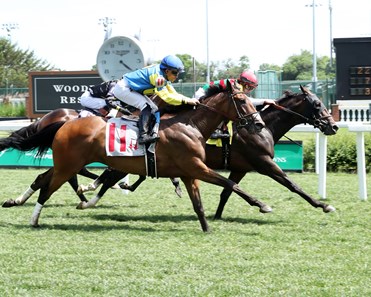 Depiction - Horse Profile - BloodHorse