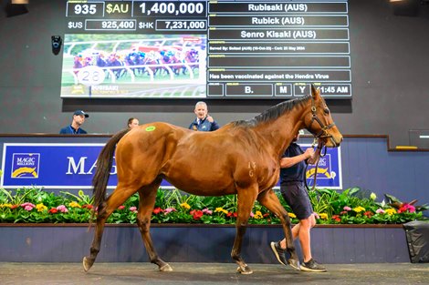 Three Million-Dollar Mares Cap Magic Millions Sale - BloodHorse