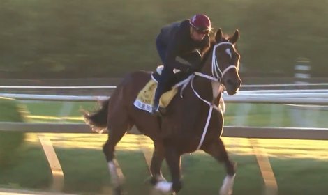 Preakness Stakes: Uncle Heavy- 5-16-2024 - Video - - BloodHorse