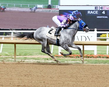 Butch's Best - Horse Profile - BloodHorse